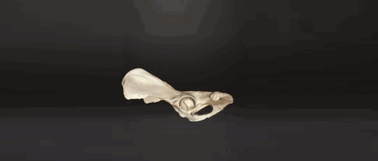 How the technicians of University of Murcia use EinScan 3D Scanner